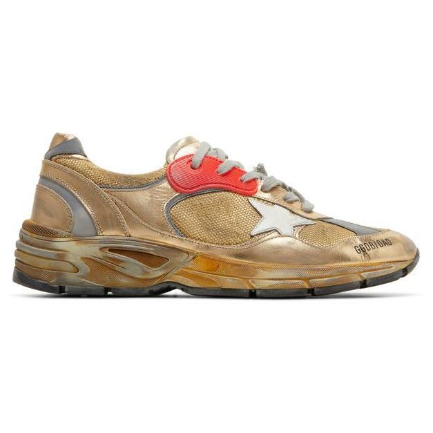 Canadian Hemlock Tsuga Canadensis Golden Splendor Tree 147540939 - iOffer