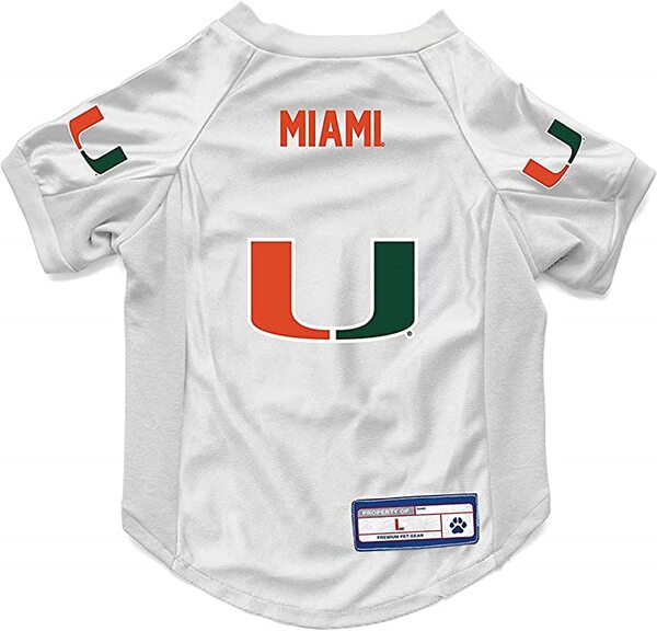 Nwt Ed Reed Jersey Orange Miami Hurricanes Sewn 512556896 - iOffer